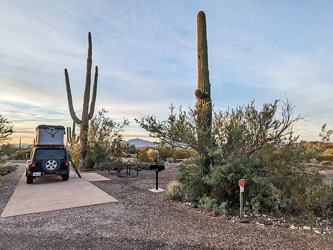 Camping with a view that's better than cable TV. At Twin Peaks Campground, the stars are your nightlight and the cacti your silent roommates. Photo credit: Micah M