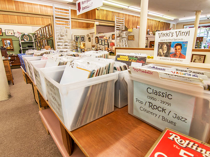 Vikki's Vinyl offers a nostalgic journey through decades of music, from classic rock to jazz treasures.