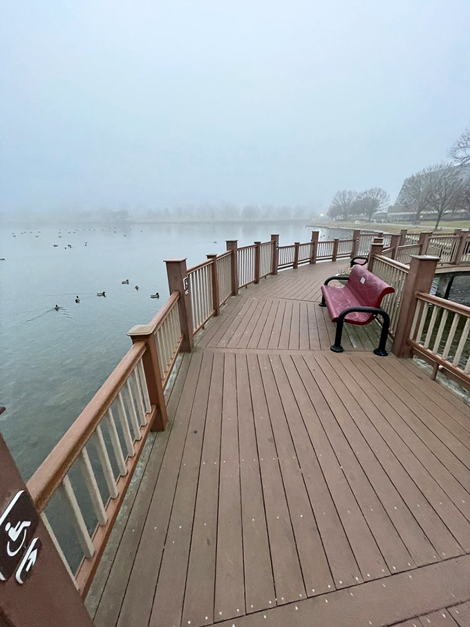 Misty morning views and wandering waterfowl create a peaceful scene that's worth getting up early to experience. 