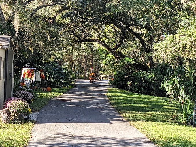 Oak-lined paths invite exploration, where Florida's natural beauty meets one man's artistic vision.