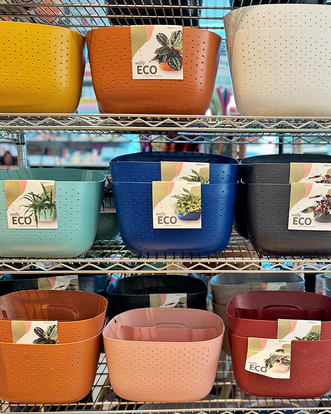 Green thumbs, rejoice! These colorful planters are begging to be filled with your favorite herbs or succulents &ndash; a stylish way to bring the outdoors in.