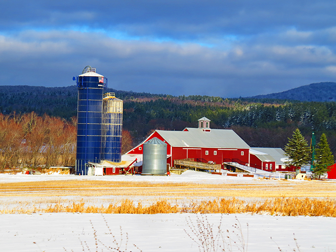 Winter wonderland or winemaker's paradise? At Boyden Valley, it's gloriously both! Snow-capped barns and frosty fields set the scene for cozy tastings by the fire.