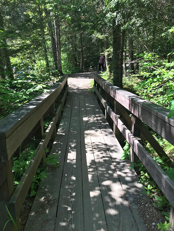This well-maintained boardwalk invites visitors of all abilities to experience Maine's natural beauty up close.