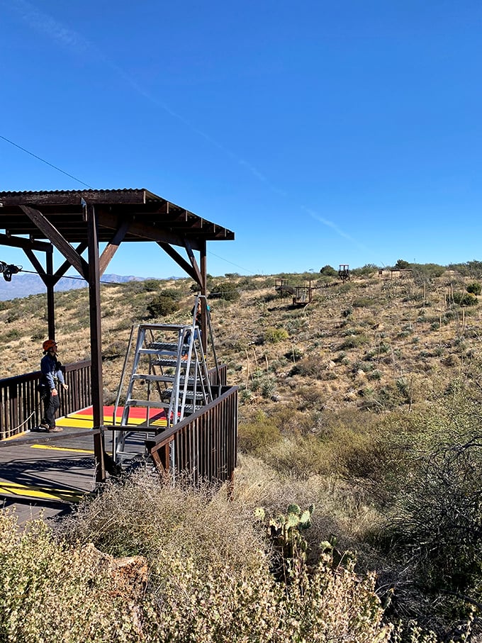 A bird's eye view of excitement! This zipline course turns the Arizona desert into your personal playground in the sky. Photo credit: A M