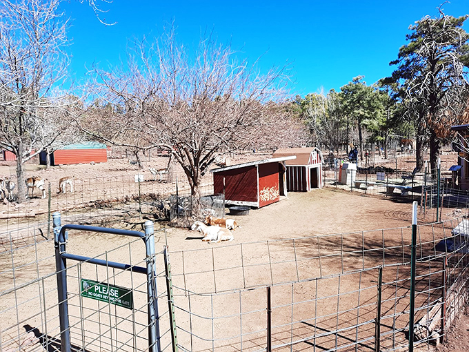A slice of rural paradise. This rustic barn could be the set for a Hallmark movie about city slickers finding love on the farm.