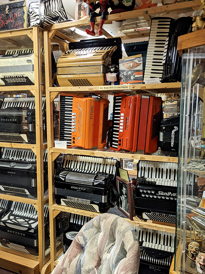 Orange you glad you came? These vibrant accordions add a pop of color to the museum. They're like the extroverts of the accordion world, demanding attention.