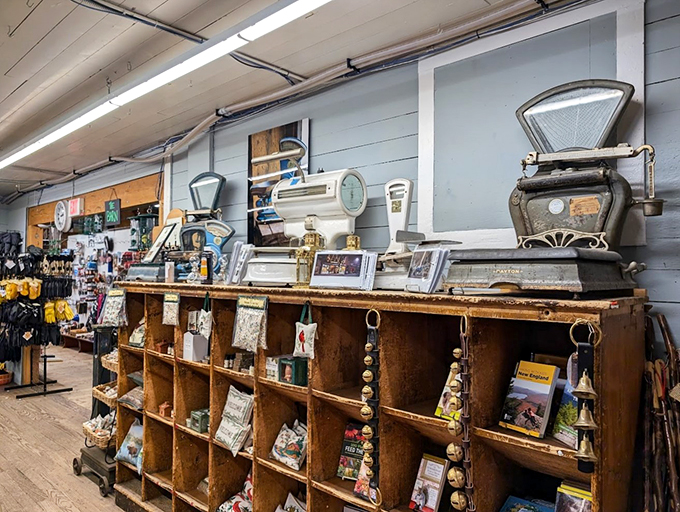 History buff's dream or hoarder's paradise? This corner's got more stories than a librarian at happy hour. Each item whispers tales of yesteryear.