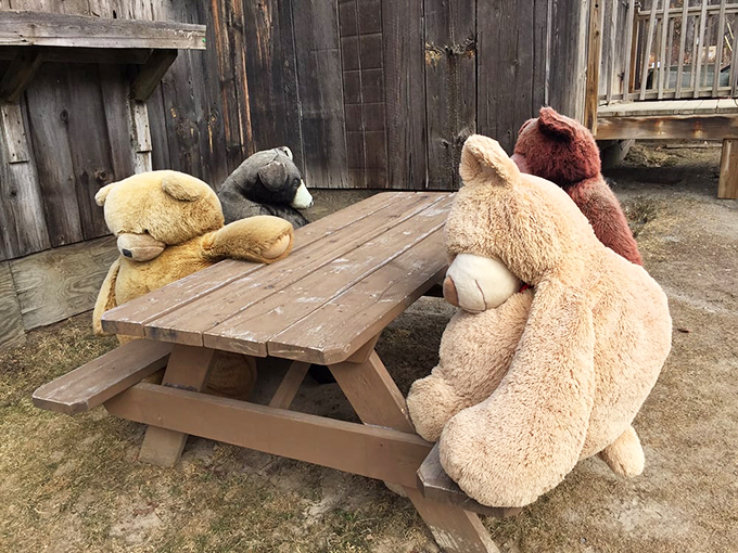 Who says stuffed animals can't enjoy a picnic? This whimsical outdoor scene adds a touch of childhood wonder to your dining experience.