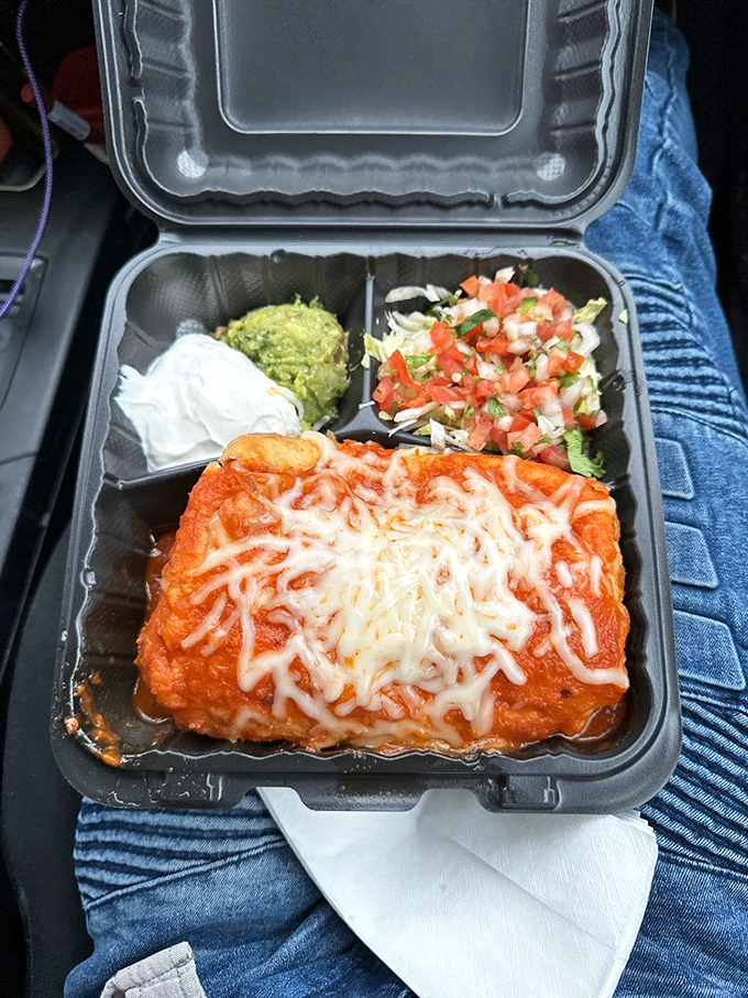 Enchiladas that could make angels sing! This cheesy, saucy masterpiece looks like it could solve world peace – one bite at a time.