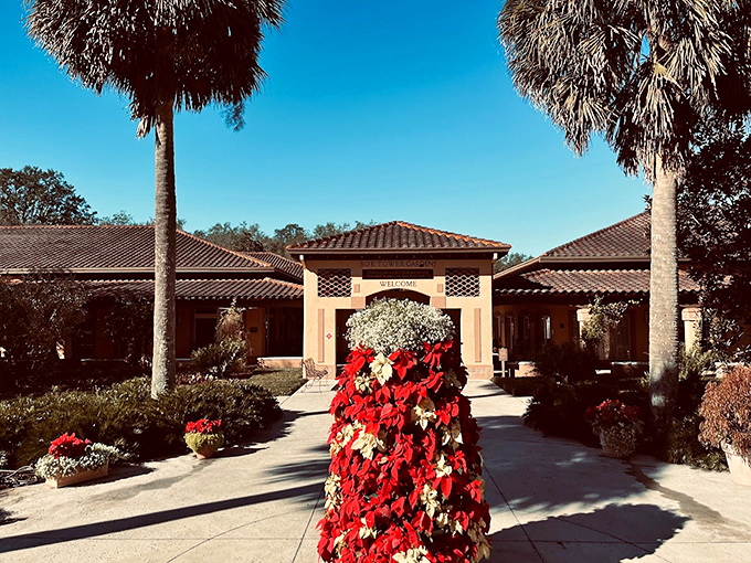 Santa's tropical vacation home? Nope, just Florida showing off its holiday spirit with a dash of sunshine.