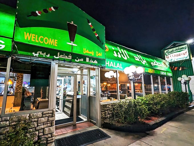 As night falls, Cedarland transforms into a beacon of deliciousness. It's like a culinary lighthouse, guiding hungry souls to a safe harbor of flavor.