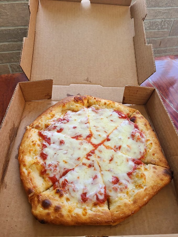 Pizza perfection achieved! This cheesy disc of joy looks like it could solve all of life's problems, one slice at a time.