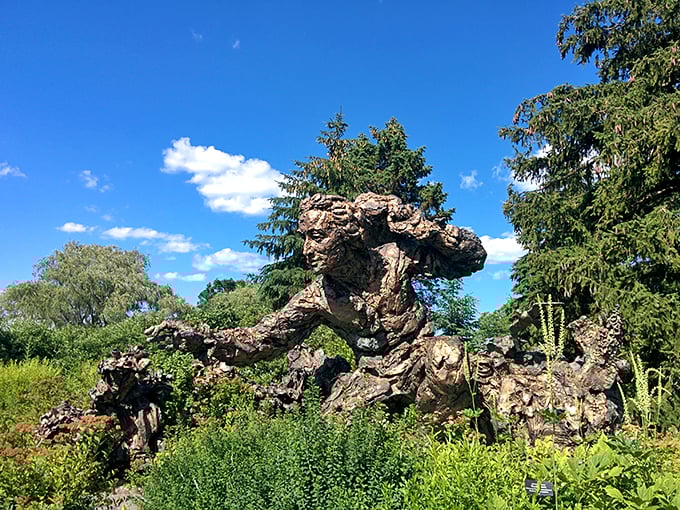 Is it a troll having a bad hair day or nature's own Chia Pet? Either way, this sculpture gives "going green" a whole new meaning!