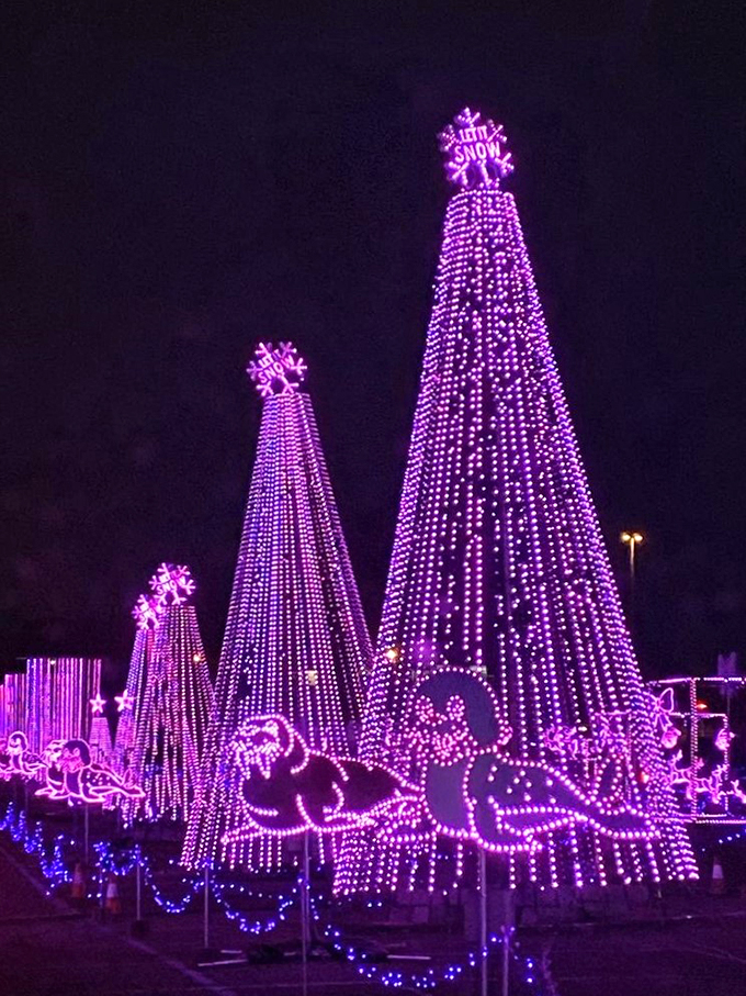 Even sea lions are joining the party! This glowing guy looks ready to balance a beach ball made of pure starlight.