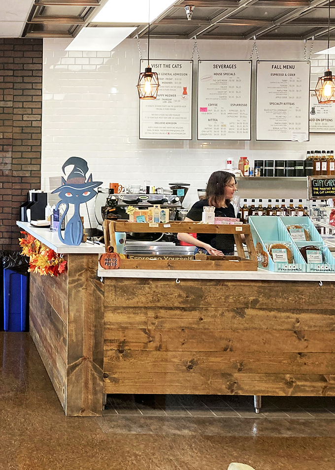 Behind every great cat cafe is a team of dedicated humans. This barista's got skills that would make even the most finicky feline purr with approval.