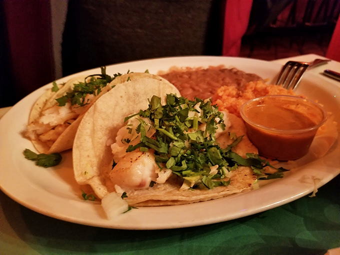 Simple, authentic, and bursting with fresh cilantro - these tacos tell the story of traditional Mexican street food.