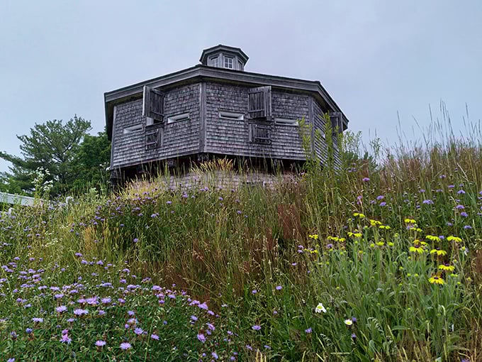 Nature's welcome mat! These wildflowers add a splash of color that'd make any HGTV host swoon.