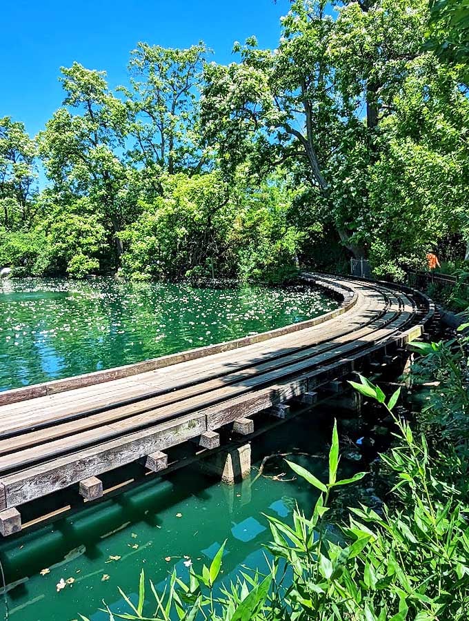 Butterfly ballet meets treetop adventure! Channel your inner nature photographer, even if your usual subjects are selfies and lunch plates.