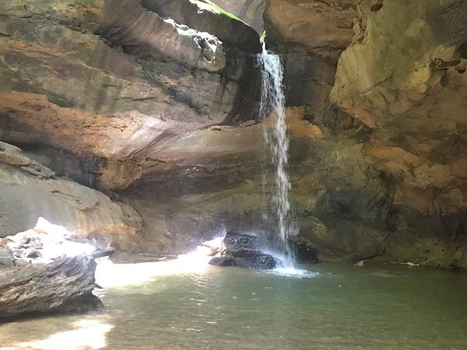 Nature's cathedral, where the only stained glass is the sunlight filtering through leaves. Prepare to be awed.