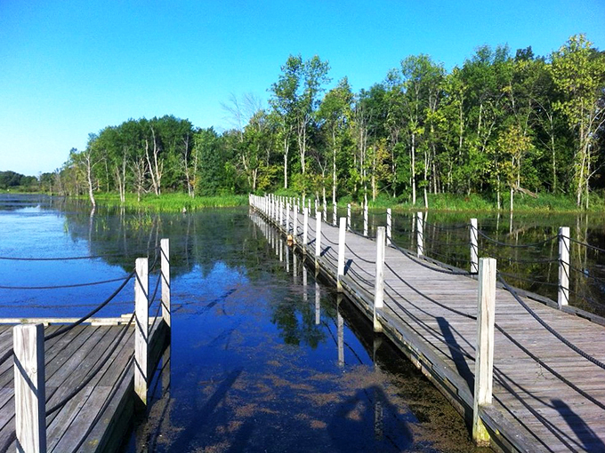 A watery wonderland where birds outnumber people. It's like a real-life version of "Birds of a Feather"!