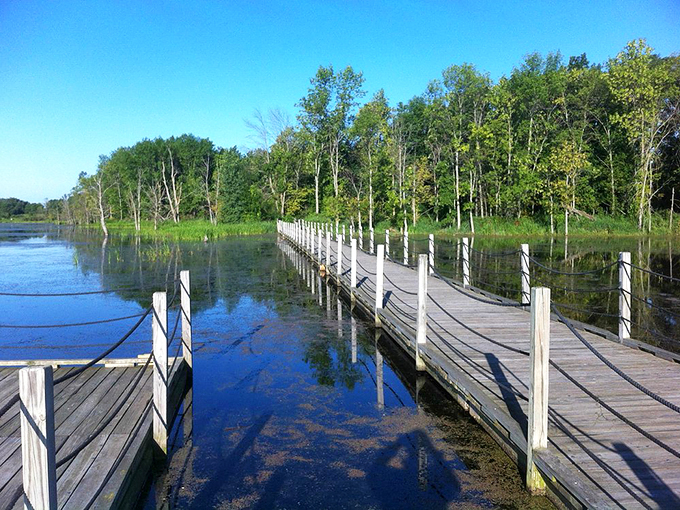 Bird-watcher's paradise or nature's airport? This massive wetland host more feathered visitors than O'Hare during the holidays.