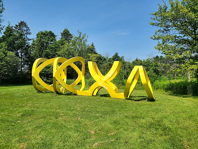 Abstract adventures await! It's like a treasure hunt, but instead of gold, you find giant yellow squiggles.