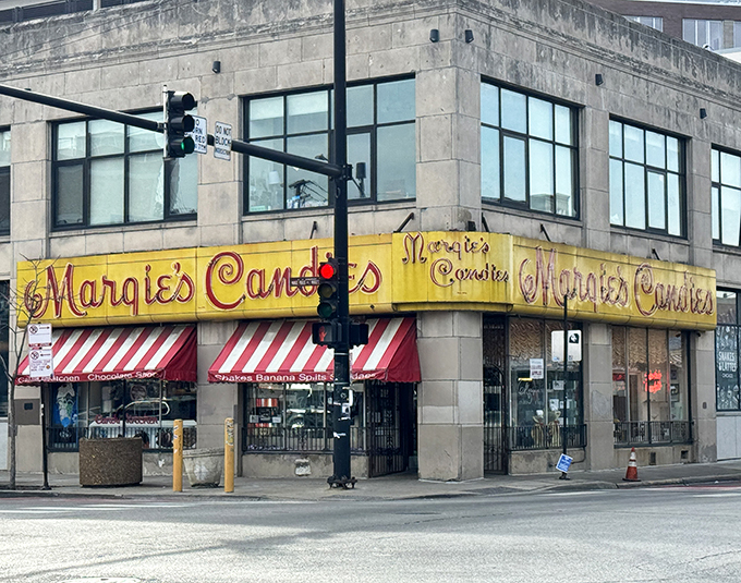 Where sundaes are an architectural marvel! Margie's builds ice cream mountains that would make civil engineers weep with joy.