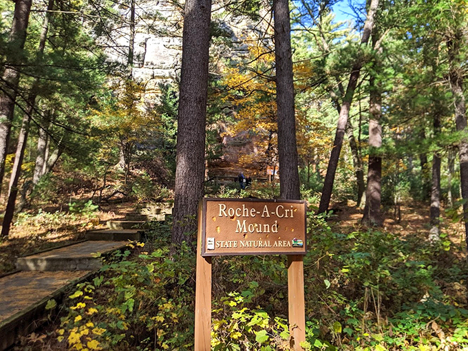 Welcome to nature's own stairmaster! Roche-A-Cri's rocky mound beckons, promising views that'll make your heart soar higher than your step count.