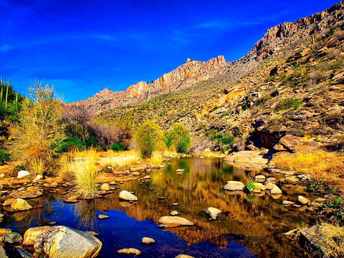 Desert meets oasis in this canyon paradise. It's nature's way of saying, "Come on in, the water's fine!"