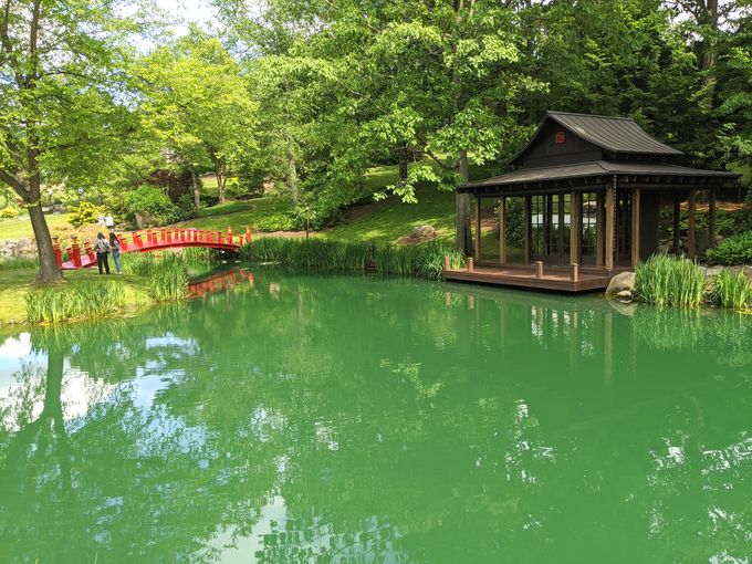 Frank Lloyd Wright meets Mother Nature in this architectural garden wonderland. Waterfall included!
