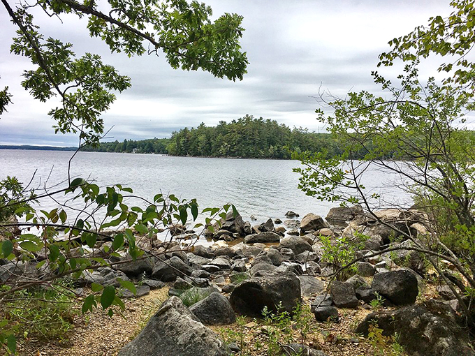 Sebago Lake State Park: Where the water's so clear, you can see fish contemplating their life choices.