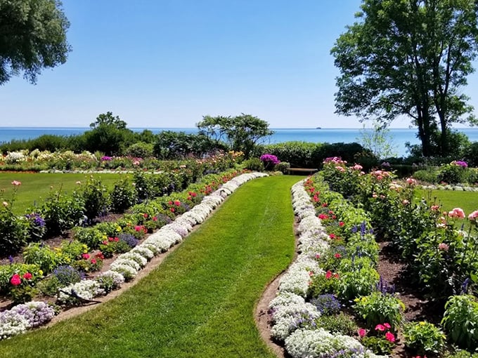 Lake views and blooms! This garden proves that Mother Nature is the ultimate landscape artist, with a little help from human hands.