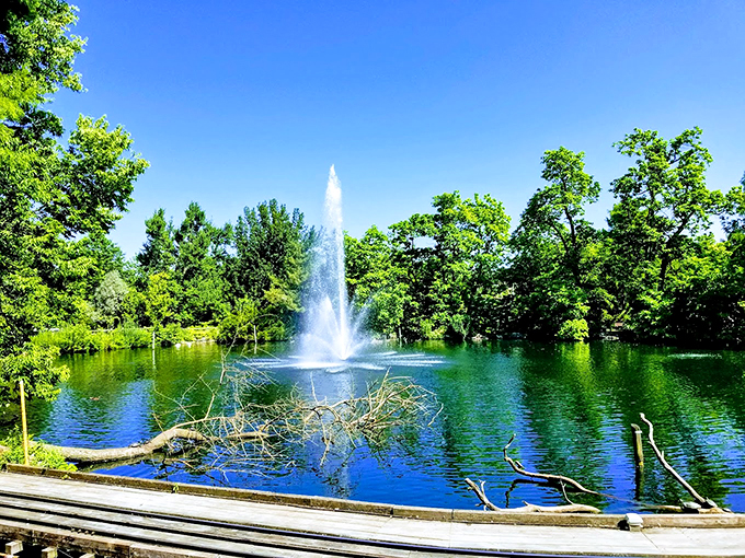 King of the forest, 65 feet up! Climb the Tree Tower for a bird's eye view of your leafy kingdom. Squirrel subjects not included.
