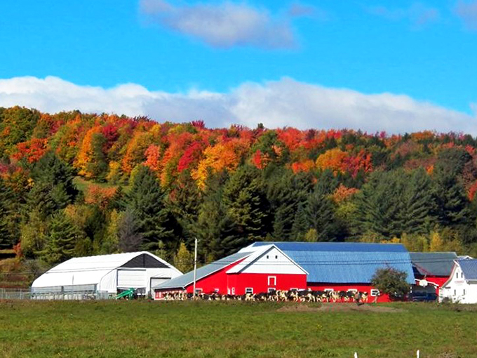 Couture's: Where "B&B" stands for "Breakfast & Buckets of maple syrup". Sweet dreams are made of this!