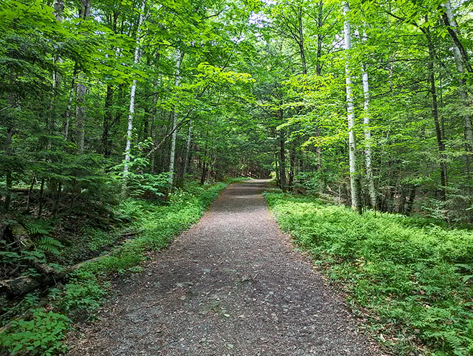 A view that'll have you canceling your gym membership and investing in hiking boots.