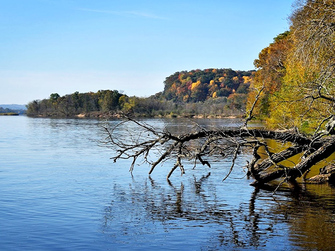 Nature's cruise ship! Ferry Bluff offers river views so mesmerizing, you'll feel like you're sailing through a painting.