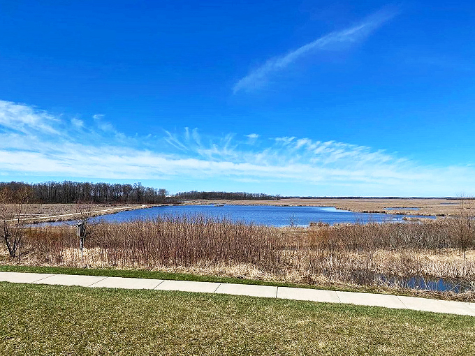 Who needs Netflix? This marsh offers a real-life nature documentary, complete with hundreds of bird species as the stars.