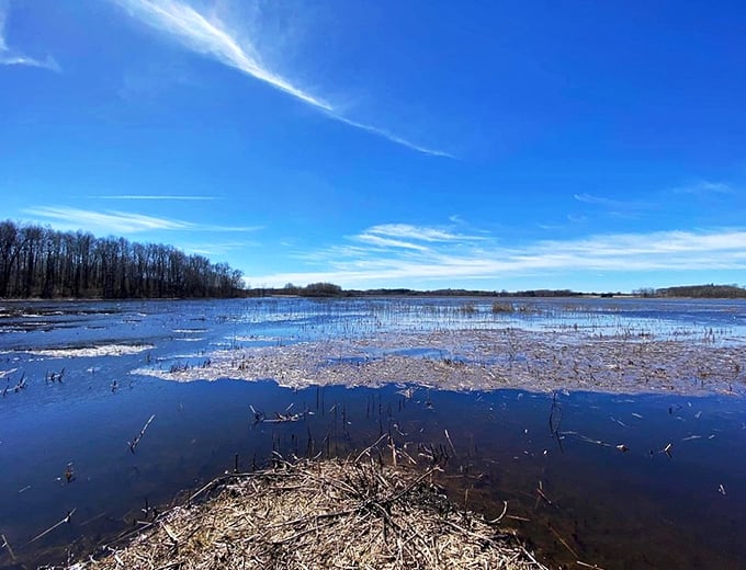 Spring at Horicon Marsh: Where the water's high, the skies are blue, and the birds are probably judging your birdwatching skills.