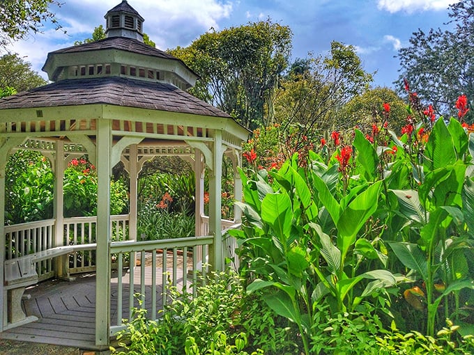 Waterfall wonder! Mother Nature's showing off her best 
