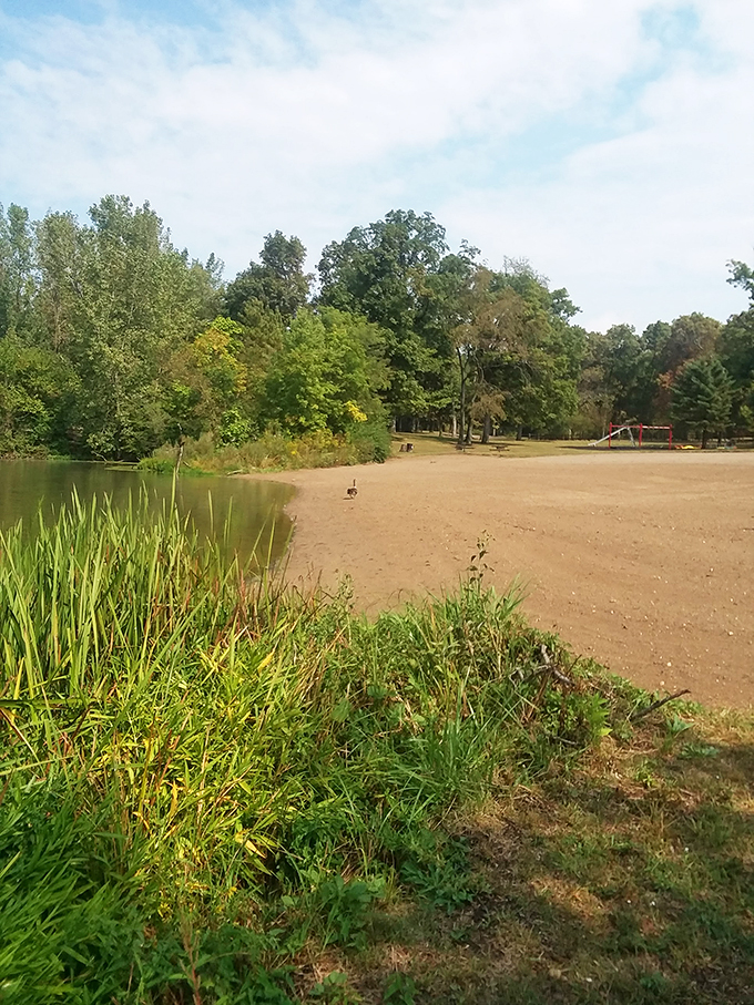 Sunset serenity! As day fades, Madison Lake transforms into a golden mirror, reflecting nature's light show.