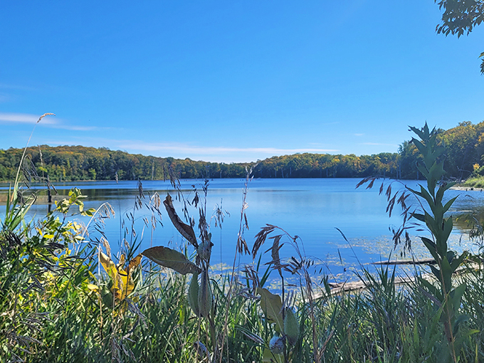 Fall color explosion! Maplewood's autumn palette is so vibrant, it makes New England leaf-peepers green with envy. Photo credit: Elizabeth Ann