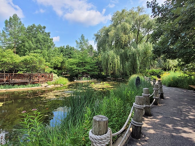 "Tree-mendous views! Morton's reflecting pond mirrors nature's beauty, doubling the wow factor of this arboreal paradise."