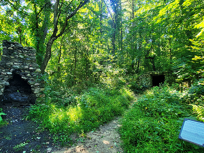 Choose your own adventure! Pinckney's diverse landscapes offer more plot twists than a bestselling novel.