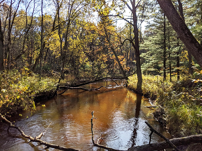 Mother Nature's autumn palette on full display! This tranquil stream is like a mirror for the trees, reflecting a Kodak moment waiting to happen.