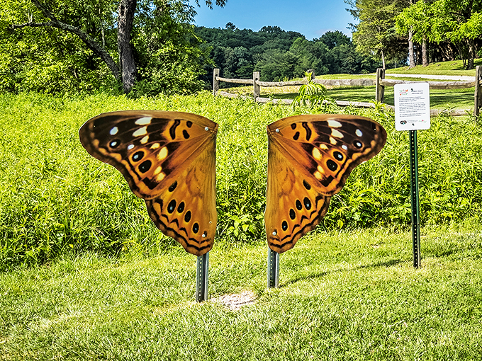 Stone-cold stunning: Rockbridge's massive arch invites you to ponder the patient power of water and time. And maybe grab a sandwich.