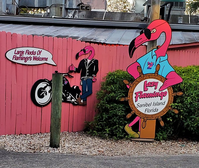 Flamingo flair at its finest! The Lazy Flamingo's quirky decor is a feast for the eyes &ndash; almost as delicious as their actual feast.