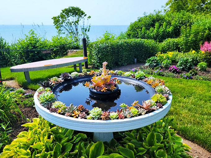Succulent chic by the lake! This creative display is like a miniature desert oasis with a Great Lakes twist.