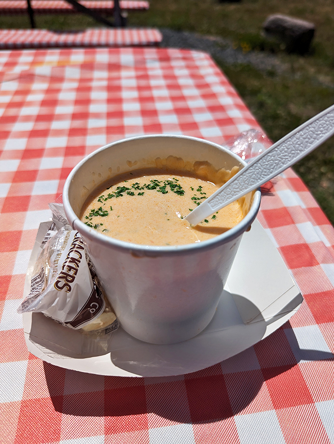 Clam chowder in a cup: the ultimate New England handwarmer. It's like a hug from the ocean, but tastier.