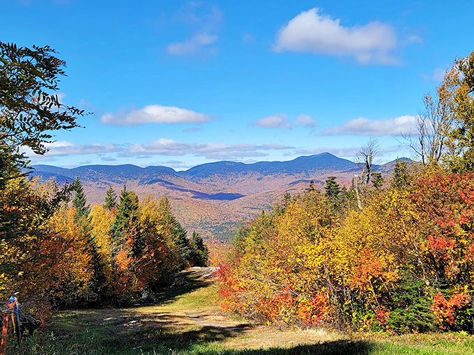 Fall in love with fall. Sunday River's autumn palette is so vibrant, it makes New England's leaf-peeping look like child's play.