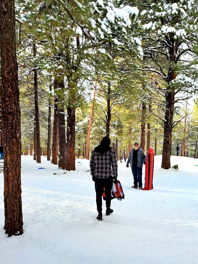 Winter wonderland meets obstacle course. Snow days are for more than just sledding when you've got a forest playground like this.